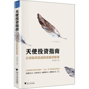 天使投资指南 从经验到实战的投融资智慧