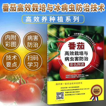 番茄高效栽培与病虫害防治彩色图谱 西红柿种植技术书