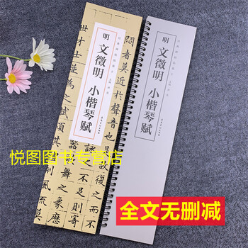 明文徵明小楷琴赋 经典碑帖临摹卡 洪亮主编 文征明琴赋  近距离临摹字卡 小楷书法字帖 安徽美术出版