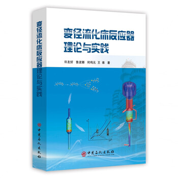 变径流化床反应器理论与实践(精)