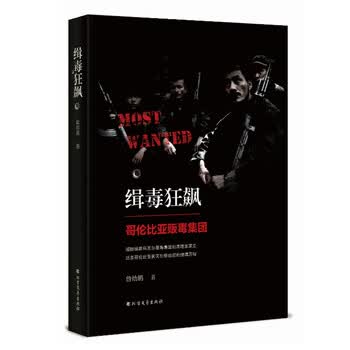   缉毒狂飙9787531741992北方文艺