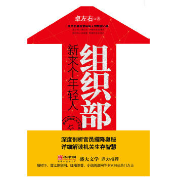 组织部新来个年轻人【正版图书】