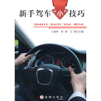 新手驾车“小”技巧 9787508297064 王建华,孙毅,王栋 金盾出版社