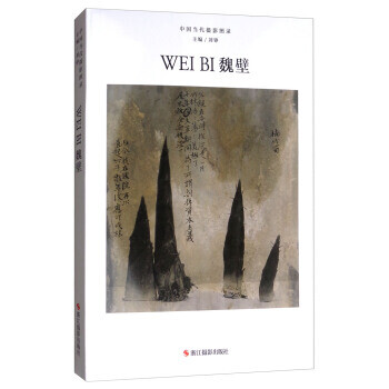 魏壁 中国当代摄影图录 ZJSY
