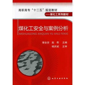 煤化工安全与案例分析 谢全安、赵奇 主编