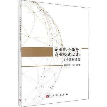 企业电子商务商业模式设计:IT资源与绩效