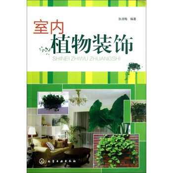 室内植物装饰