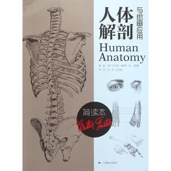 人体解剖与绘画应用(简读本)