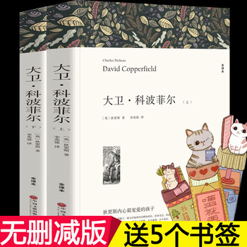 【中文无删减共1072页】大卫科波菲尔上下册世界十大名著之一原著正版全译本无删节 宋兆霖译世界文学