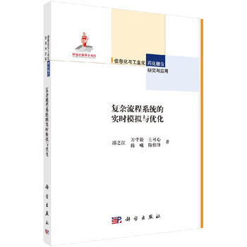复杂流程系统的实时模拟与优化