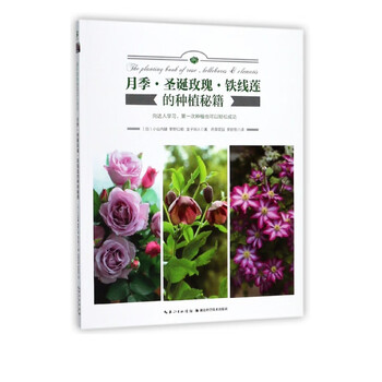 月季圣诞玫瑰铁线莲的种植秘籍