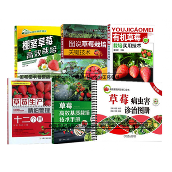 6本 棚室草莓高效栽培+有机草莓栽培实用技术+病虫害诊治+草莓生产精细管理十二个月 草莓种植技术书籍