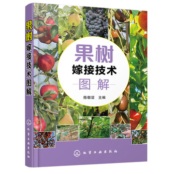 果树嫁接技术图解 果树嫁接过程步骤关键技术环节详解 果树嫁接方法技巧 桃杏樱桃葡萄核桃柿子枣树嫁接技