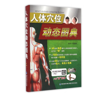 人体穴位动态图典(精)