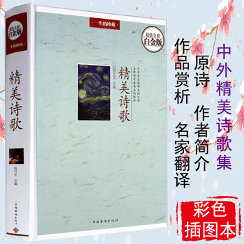 精美诗歌收录徐志摩顾城海子舒婷冰心戴望舒艾青席慕蓉林徽因泰戈尔歌德雪莱叶芝名家诗歌书籍