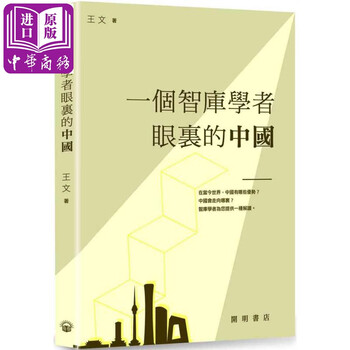 一个智库学者眼里的中国 港台原版 王文 开明出版