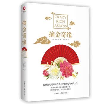 摘金奇缘  文学 书籍