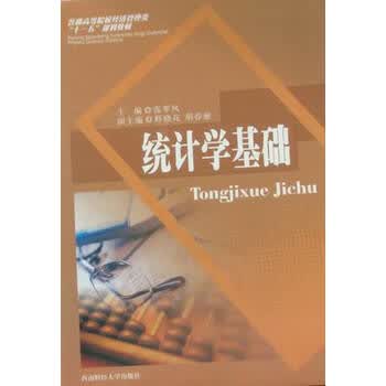 统计学基础 社会科学 书籍