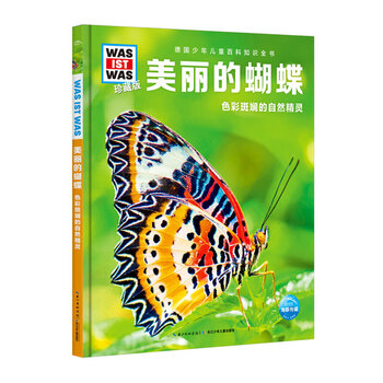 美丽的蝴蝶