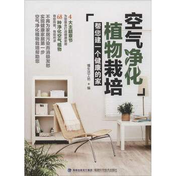 空气净化植物栽培