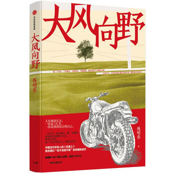 大风向野 小说 书籍