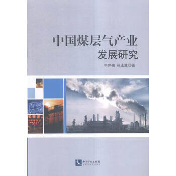 中国煤层气产业发展研究 经济 书籍