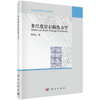 [按需印刷] 多尺度岩石损伤力学