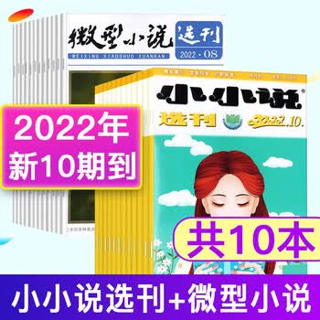 小小说选刊杂志2022年第4/7/8/9/10期+微型小说选刊2022年第4/5/6/7/8期共10本打包混合打包短篇小说故事非合订本文学期刊