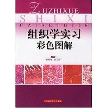 组织学实习彩色图解