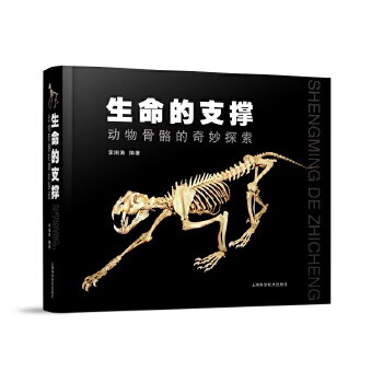 生命的支撑-动物骨骼的奇妙探索
