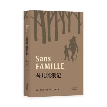 苦儿流浪记