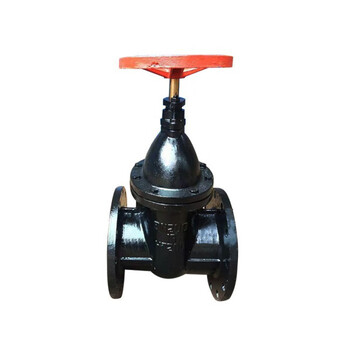 勋狸粑Z45T-16 铸铁法兰闸阀 阀门闸阀 铸铁暗杆闸阀DN50 65 80 100 150 DN50【图片 价格 品牌 报价】-京东