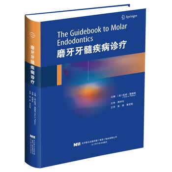 磨牙牙髓疾病诊疗
