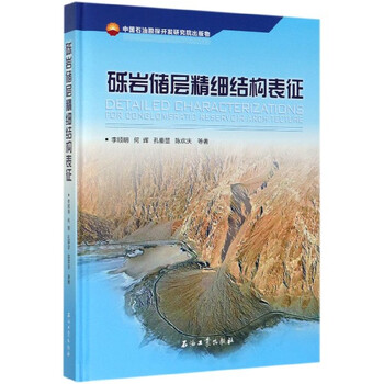 砾岩储层精细结构表征(精)