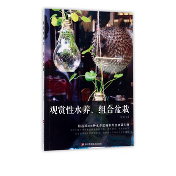 观赏性水养组合盆栽