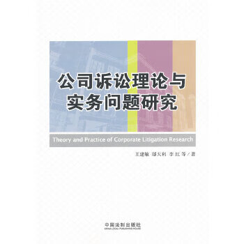 公司诉讼理论与实务问题研究