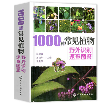 1000种常见植物野外识别速查图鉴 杨辉霞 家庭书籍野外识别原植物鉴别图册中国常用手册 图识别与应用