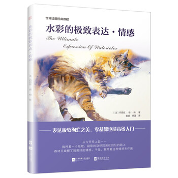 水彩的表达 情感 书籍分类 绘画 水粉 水彩