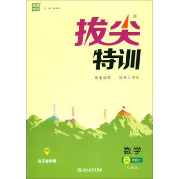 通城学典·拔尖特训：数学（三年级上 人教版）