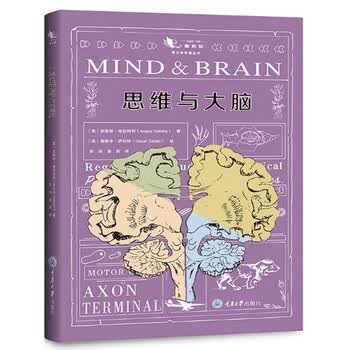 思维与大脑9787568918428重庆大学安格斯