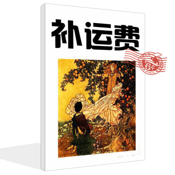 充值专用链接 充值多少元 拍多少件 杂志铺 拍前请联系好客服 单拍不发货