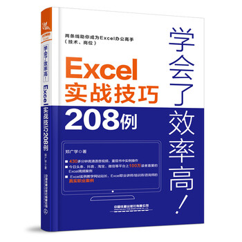 学会了效率高！Excel实战技巧208例
