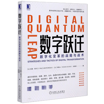 数字跃迁(数字化变革的战略与战术)