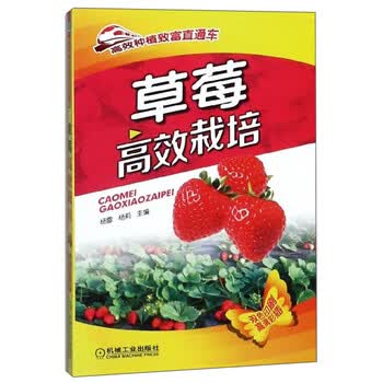 草莓高效栽培（双色印刷）/高效种植致富直通车