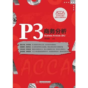 P3商务分析