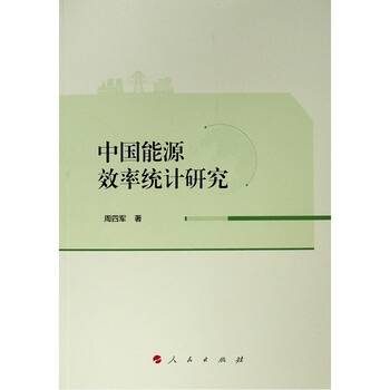 中国能源效率统计研究