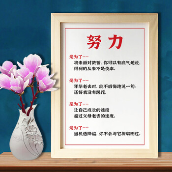 努力的意义 书房挂画中高考加油礼物励志字画摆件书法座右铭实木相框挂墙画框UTK UTK26 努力 A5(可摆可挂)