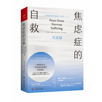 焦虑症的自救(实战篇)/焦虑症的自救系列