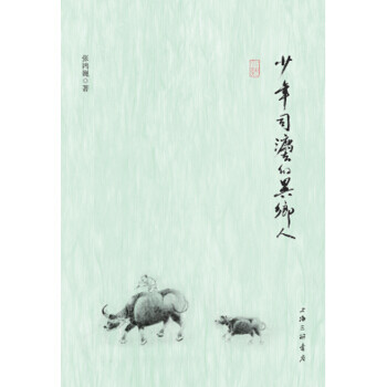 少年司法的异乡人【正版图书】