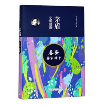 茅盾小说 小说 书籍